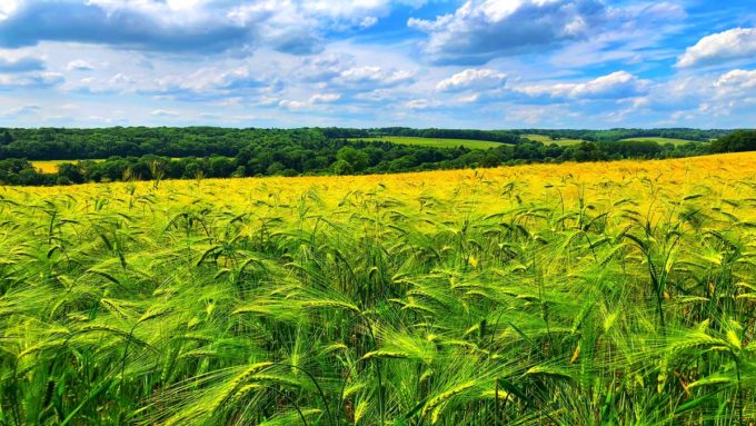 Chess Valley Walk: Step-by-Step Guide