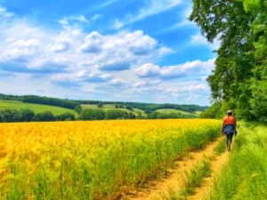 Chess Valley Walk: Step-by-Step Guide