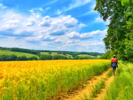 Chess Valley Walk: Step-by-Step Guide