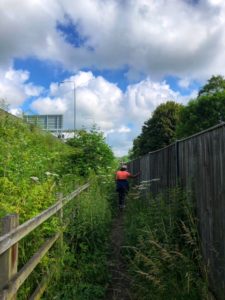 Chess Valley Walk: Step-by-Step Guide