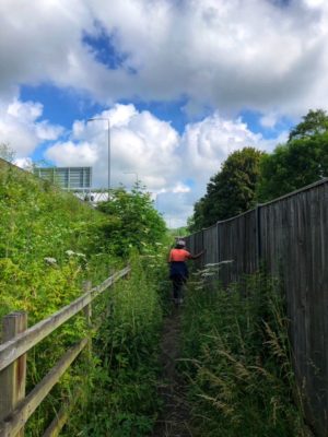 Chess Valley Walk: Step-by-Step Guide