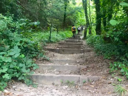 Box Hill Hike in Surrey Hills - Best Walks near London - Simone Says GO!