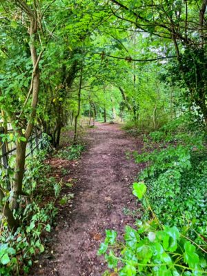 Box Hill Hike in Surrey Hills - Best Walks near London - Simone Says GO!