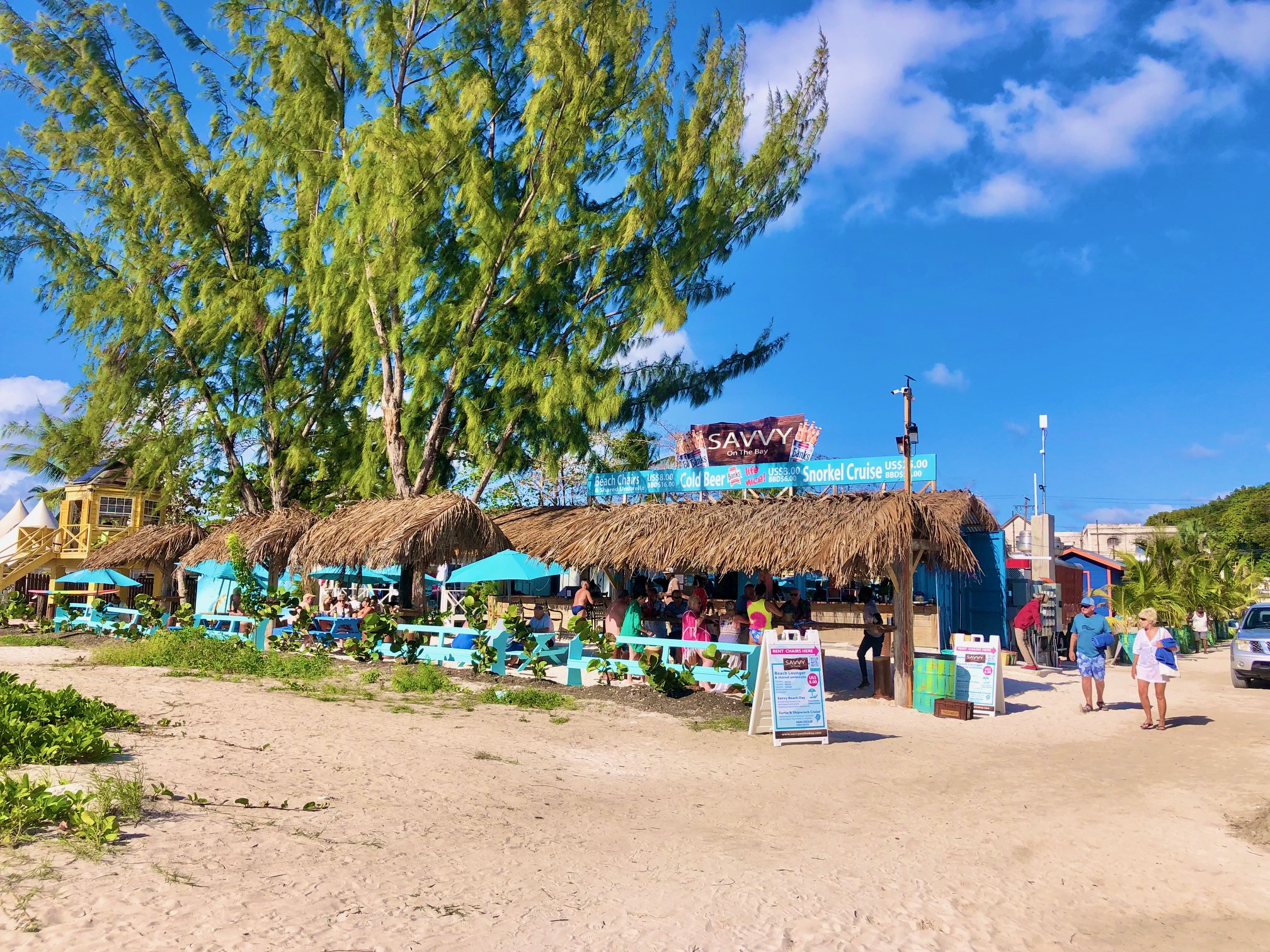 20 Best Things to Do in Barbados, a Bajan's Recommendations