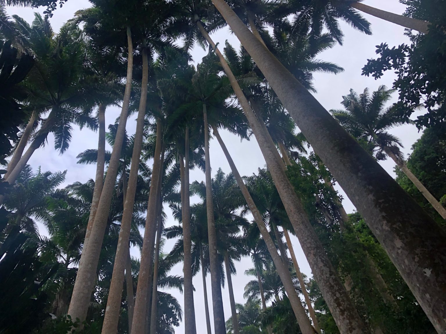 20 Best Things to Do in Barbados, a Bajan's Recommendations