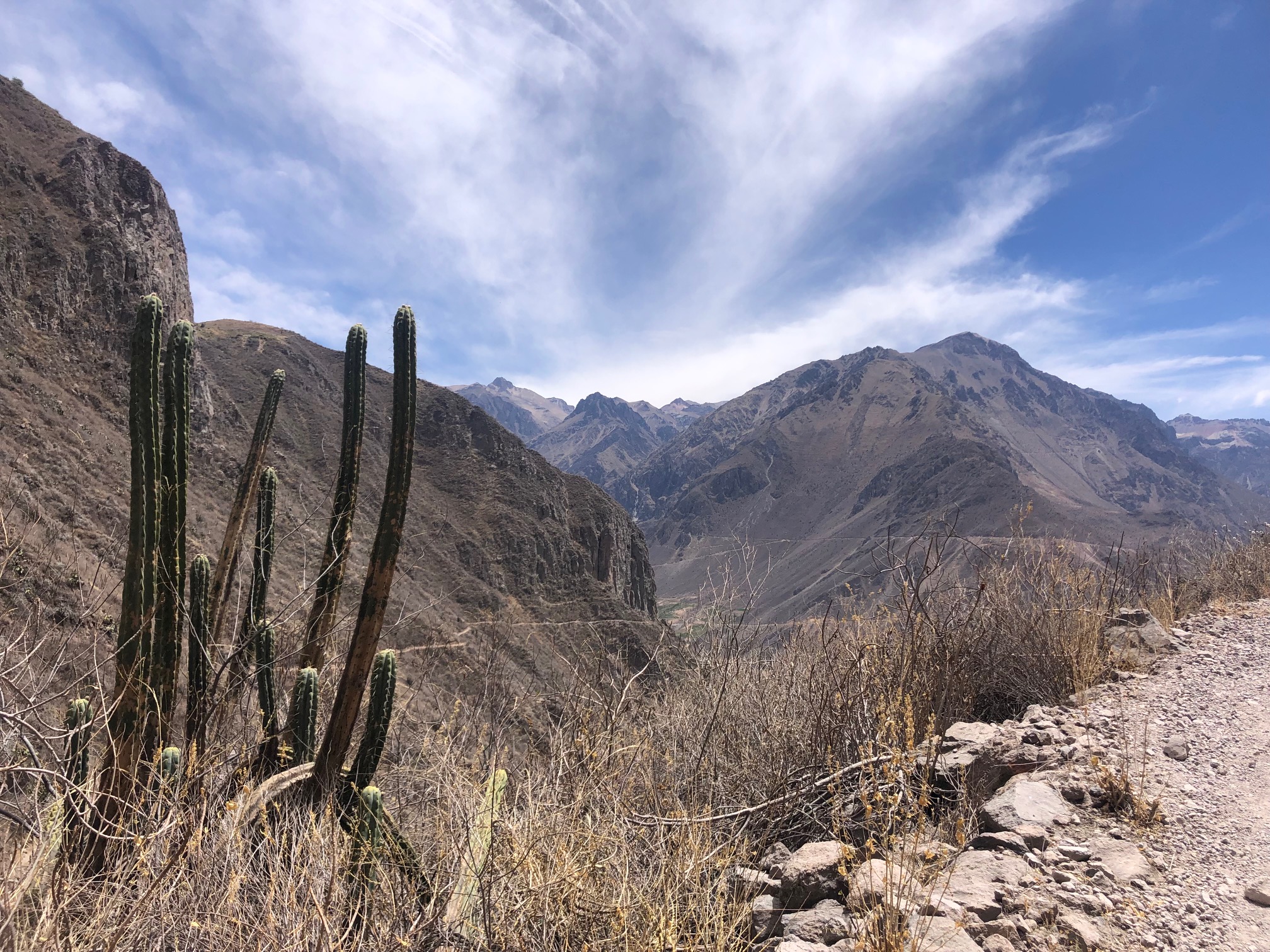Hiking Colca Canyon, Cabanaconde to Llahuar