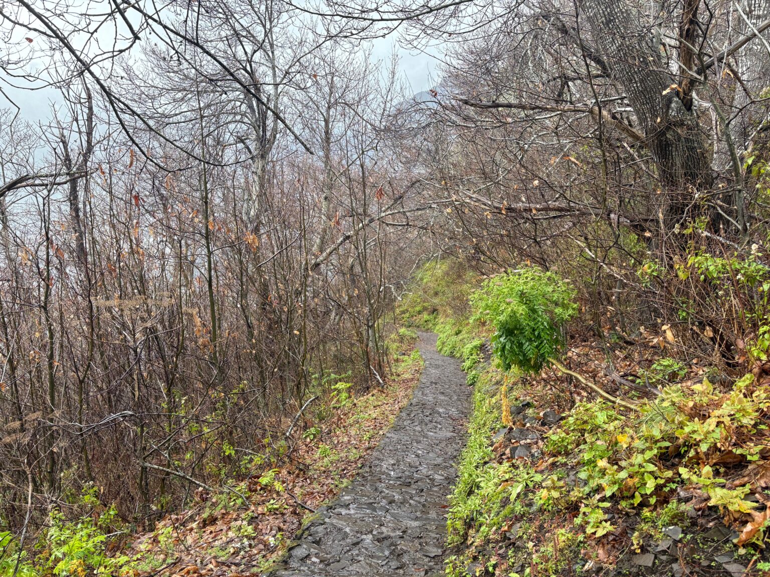 Valley of the Nuns in Madeira, a Day Trip Guide