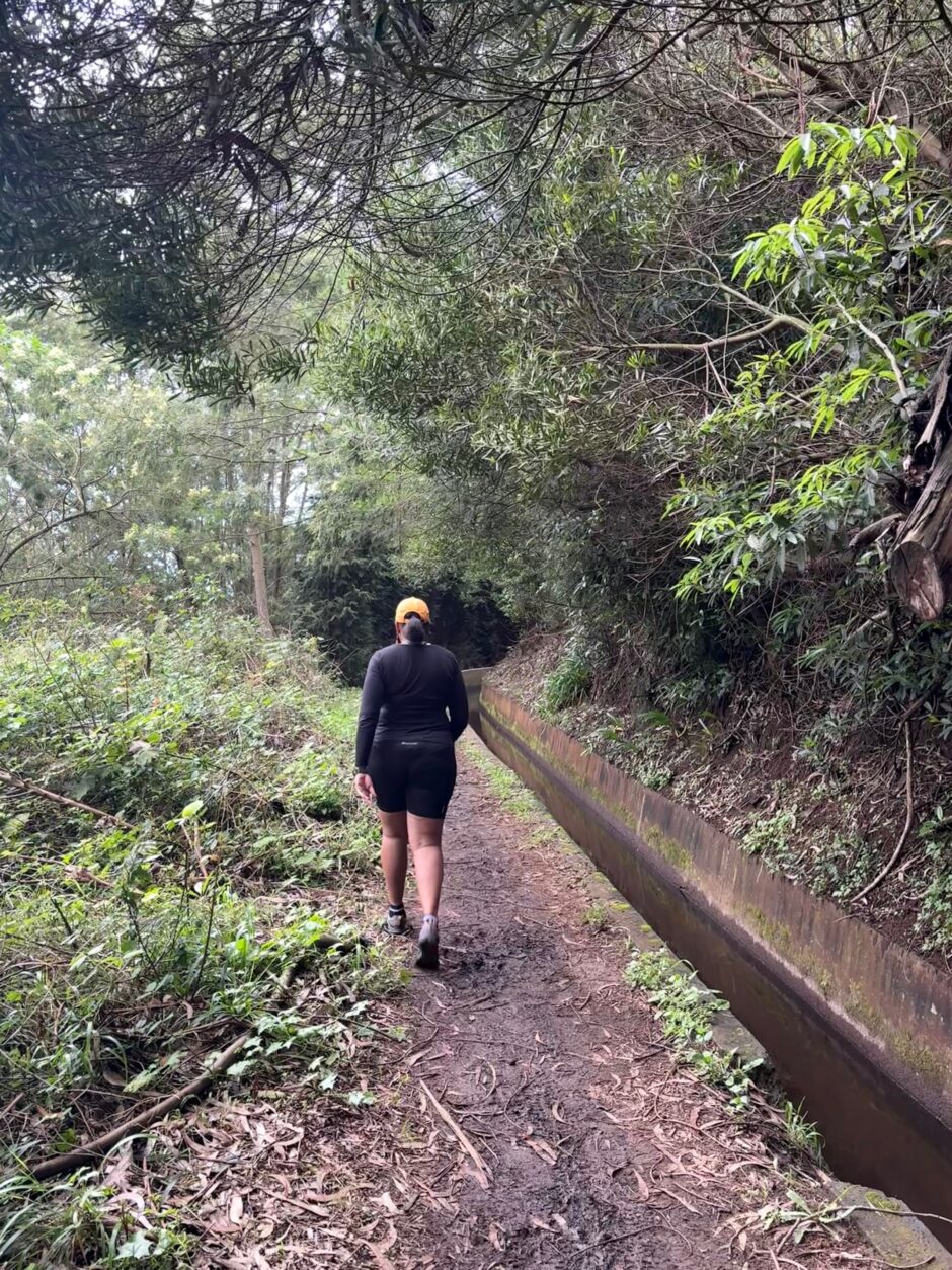 Levada dos Tornos Hike from Funchal, Madeira