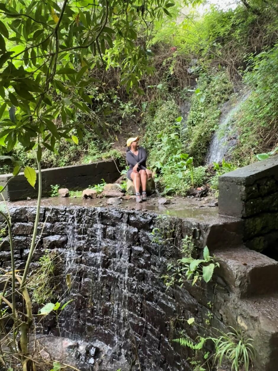 Levada dos Tornos Hike from Funchal, Madeira